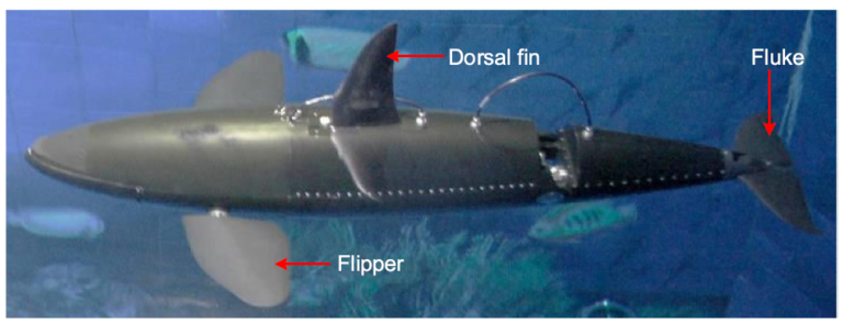 Robotic Dolphins Become More Lifelike to Save Energy | Innovate
